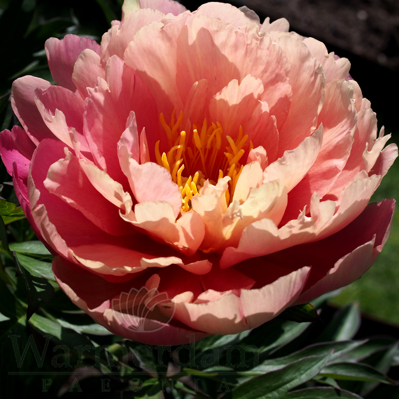 Unable to fetch data.